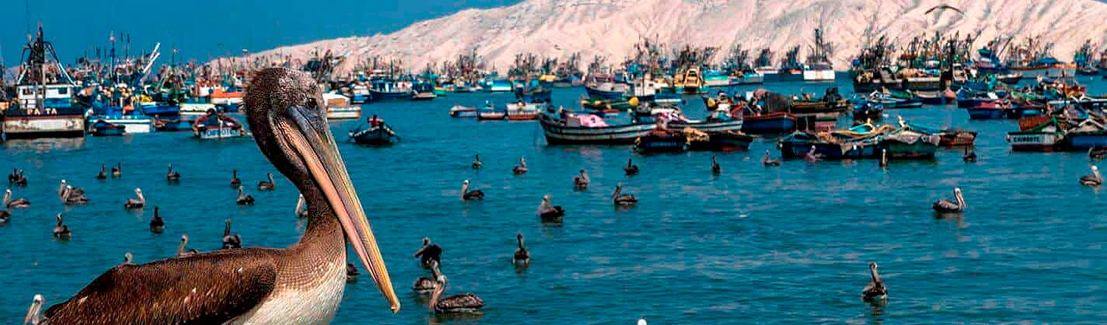 Pasajes a Chimbote en bus: Comprar Online | Linea.pe